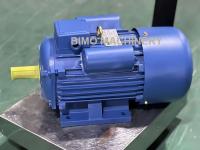 China YC YL Single Phase AC Motor 0.5hp to 10hp 1500rpm 3000rpm 220V Capacitor Start Asynchronous Motor for sale