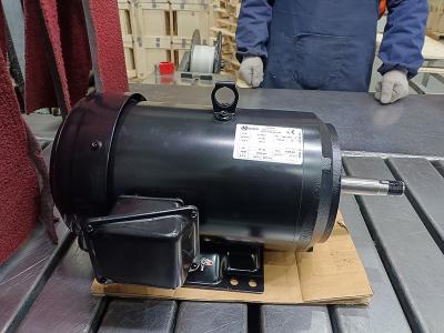 China NEMA 215T 10HP Three Phase AC Induction Motor 1725 RPM 208-230V High Torque for sale