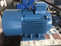 China 15kW Three Phase Induction Motor 100% Copper Wire IE3 Cast Iron Frame 380V for sale