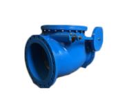 China Multi Single Disc Door Flanged PN10 Stainless Swing Check Valve for sale