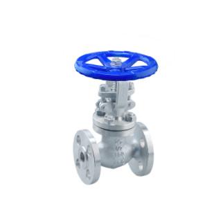 China OEM ODM CE Certified 1/2 Inch API 6D SS Globe Valve for sale