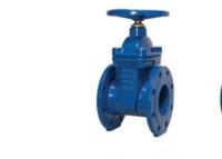 China 4 Inch Dn250 Water Gate Valve Ductile Iron Flange for sale