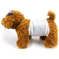 China Wholesale Disposable Thickened Absorbent Dog Diaper Pet Training Supplies in Stock Dog Cat Paper Urine Pad for sale