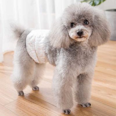 China Odorless Pet Diaper for Small and Large Dogs with Sustainable Disposable Diapers for sale