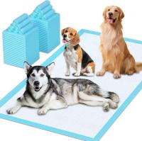 China Super Absorbent Pet Diaper Dog Training Diaper Pad Disposable Cat and Dog Diapers for sale