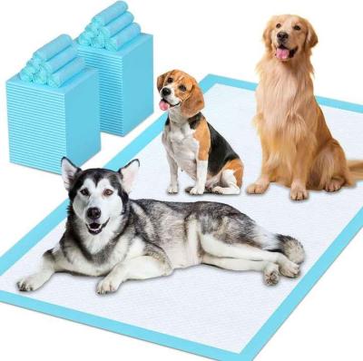 China Super Absorbent Pet Diaper Dog Training Diaper Pad Disposable Cat and Dog Diapers for sale