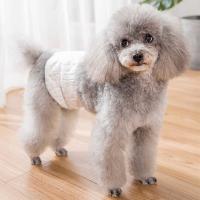 China China Wholesale Dog Pet Training Pads Diaper Disposable Pet Products Carbon Activator Biodegradable Pee Pads Thick for sale