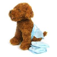 China Hot Selling Disposable Pet Care Diapers Cheap Stock Diapers For Dog Quick Dry Dog Diapers for sale