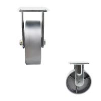 China OEM 6x2 Inch Solid Silver Wheel Heavy Duty Fixed Cast Iron Casters for sale