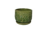 China Indoor Ceramic Pots For House Plants 6 Inch And 8 Inch for sale
