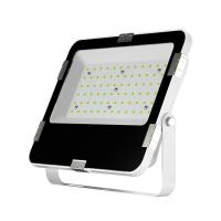 China High Efficiency Outdoor LED Security Light 50W 130lm/ W Anti Pressure for sale