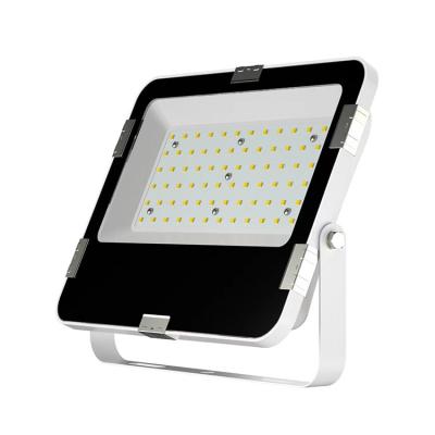 China High Efficiency Outdoor LED Security Light 50W 130lm/ W Anti Pressure for sale
