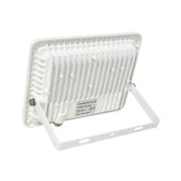 China White Aluminum Driverless LED SMD Flood Lights 100w 9000 Lumen Waterproof For Garden for sale