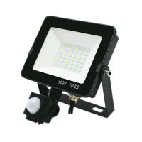China Super Bright Security PIR LED Flood Lights SMD Chips 30W AC220V 110V for sale