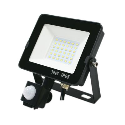China Super Bright Security PIR LED Flood Lights SMD Chips 30W AC220V 110V for sale