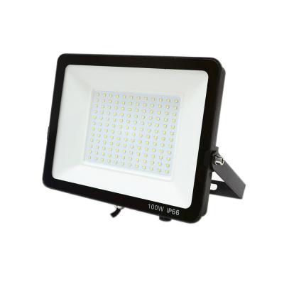 China SMD 2835 Slim LED Flood Lights Super Bright 100W Driverless Reflector Light for sale