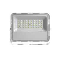 China 100W 30W LED SMD Flood Light SMD 2835 OSRAM With 60 Beam Angle for sale