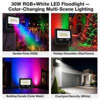 China Ip66 Outdoor Rgbw Floodlight Led Lights 30W For Theme Park Christmas for sale