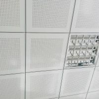China Metal Aluminium Perforated Ceiling Tiles Decorative Wpc Cladding Panel for sale