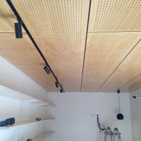 China Metal Aluminium Perforated Ceiling Tiles Decorative Wpc Cladding Panel for sale