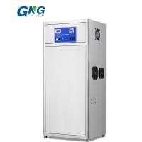 China CE / ISO9001 Commercial Ozone Generator With Inbuilt Air Dryer For Spa Pools for sale