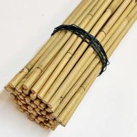 China Customized Natural Bamboo Raw Material Bamboo Stakes 40cm 60cm 90cm Length 6mm Diameter for sale
