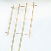 China 100% Raw Material Bamboo Stakes 6m U Shape Hoops Handcrafted Trellis Support Flower for sale