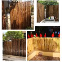 China Natural Bamboo Raw Material Garden Fencing Panels With 180cm 240cm Length for sale