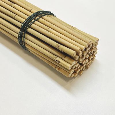 China 10cm Raw Bamboo Poles for sale