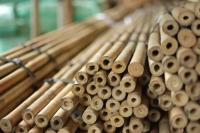 China Natural Garden Bamboo Sticks For Indoor And Outdoor Plants , Plant Support Stakes For Tomatoes , Beans , Potted Plants for sale