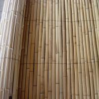 China Natural Bamboo Slat Screening Eco-Friendly Privacy Slat Fence Bamboo Screen Panel Roll For Balcony Wind Protection for sale