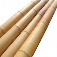 China Natural Moso Bamboo Pole Sturdy & Eco-Friendly For Garden for sale