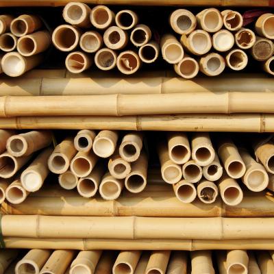 China Strong Bamboo Pole Perfect for DIY Projects , Supports and Decor for sale