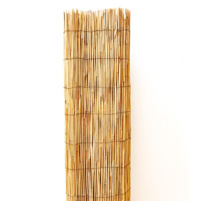 China Eco-Friendly Reed Fence Natural And Stylish Solution For Garden Decoration And Privacy for sale