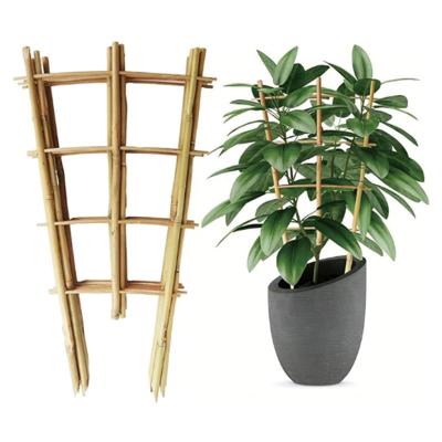 China Factory Direct Supply Handmade 24 Inch Bamboo U Trellis Hoop Stakes For Garden for sale