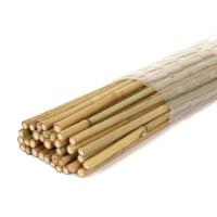 China Eco-Friendly Bamboo Poles Toamto Beans Potted Plants for Indoor and Outdoor Plants for sale