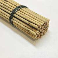 China Eco-Friendly Bamboo Poles Toamto Beans Potted Plants for Indoor and Outdoor Plants for sale