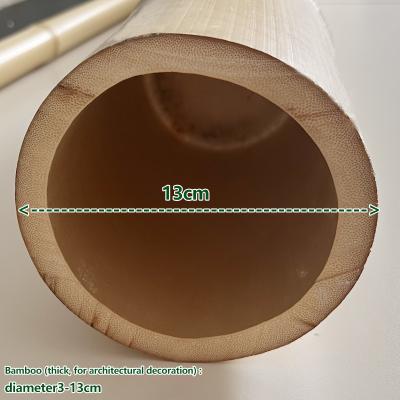 China Strong Bamboo Pole for Plant Support Construction and Handicrafts for sale