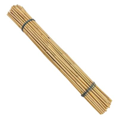 China Garden Bamboo Stake Support for Plants & Climbers for sale