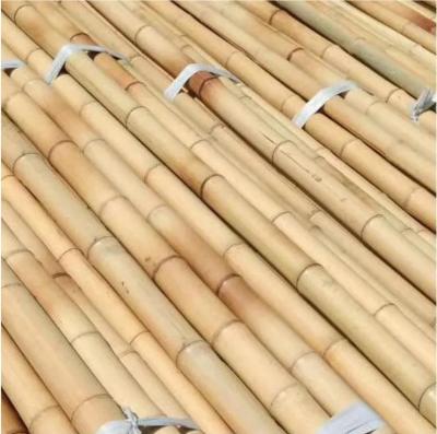 China Durable Bamboo Canes for Plant Support and Construction for sale