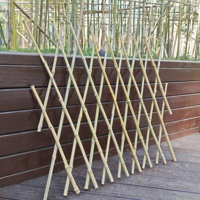 China Natural Bamboo Expandable Garden Trellis & Fence for Outdoor Garden for sale