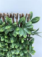 China Weatherproof Greenery Privacy Fence No Rotting Flame Retardant for Added Safety for sale