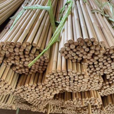 China Garden Bamboo Stakes Ultimate Eco-Friendly Support For Plants & Climbers for sale