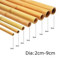 China Eco-Friendly Customizable Size Bamboo Pole For Garden Plant Support With Antisepsis Treatment for sale