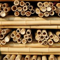 China Natural Treated Moso Bamboo Pole 3 Meters Long 6-8cm Diameter for DIY Construction Fencing Gardening and Decorative Projects for sale