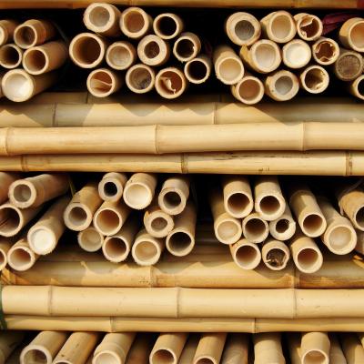 China Natural Treated Moso Bamboo Pole 3 Meters Long 6-8cm Diameter for DIY Construction Fencing Gardening and Decorative Projects for sale