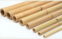 China Natural Bamboo Color Moso Bamboo Poles for Planting Support – Premium Garden & Farm Stakes for sale