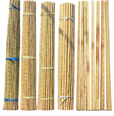 China Natural Bamboo Color Moso Bamboo Poles for Planting Support – Premium Garden & Farm Stakes for sale
