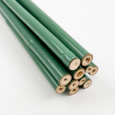 China Green/Black Plastic Coated Bamboo Poles - Custom Sizes for Gardening and Decoration for sale