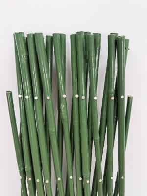 China Enhance Your Garden Privacy with Natural Plastic Coated Expanding Bamboo Pole Fence Rolls for sale